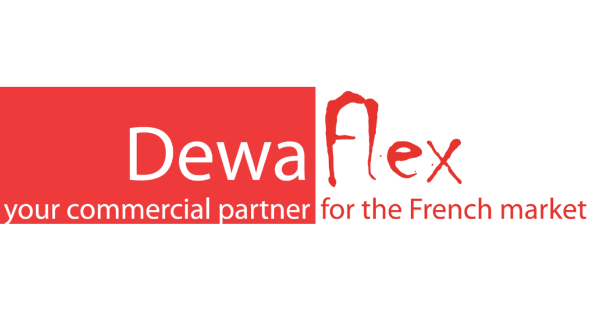 DewaFlex brengt Frankrijk dichterbij voor ondernemers | CCI France Pays-Bas